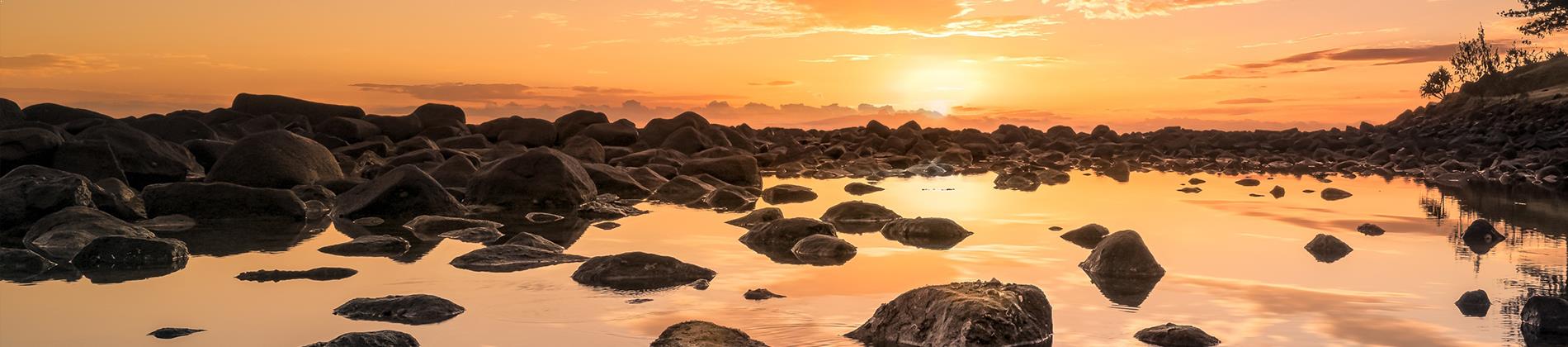 MindTree Psychology | Gold Coast Psychologists | Call (07) 5627 0215