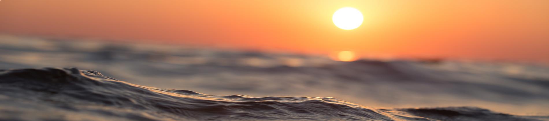 MindTree Psychology | Gold Coast Psychologists | Call (07) 5627 0215