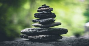 MindTree Psychology | Gold Coast Psychologists